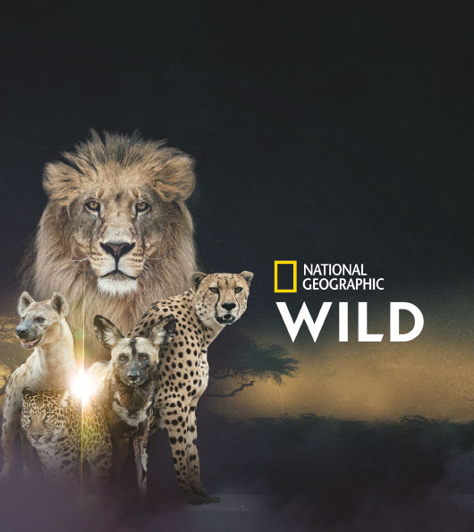 Nat Geo Wild, canal en abierto en junio en R - mundoplus.tv