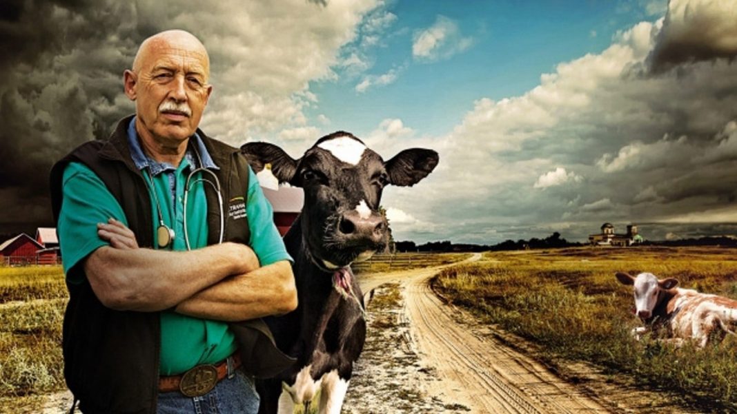 Las aventuras de "El increíble Dr. Pol" llegan próximamente a Mega ...