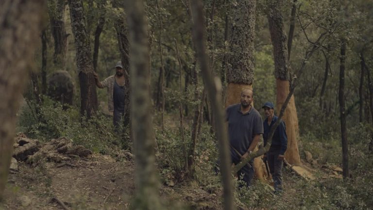 "Suro" es un ejemplo más del gran año del cine español - mundoplus.tv